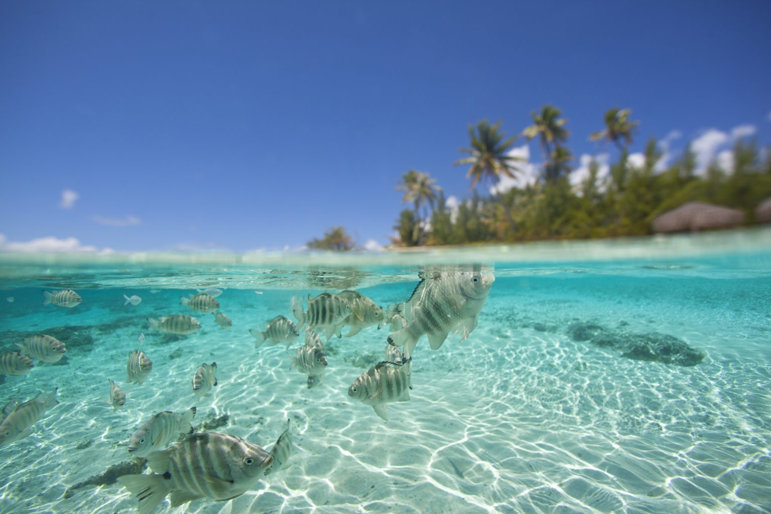Croisière îles des Tuamotu - Aranui