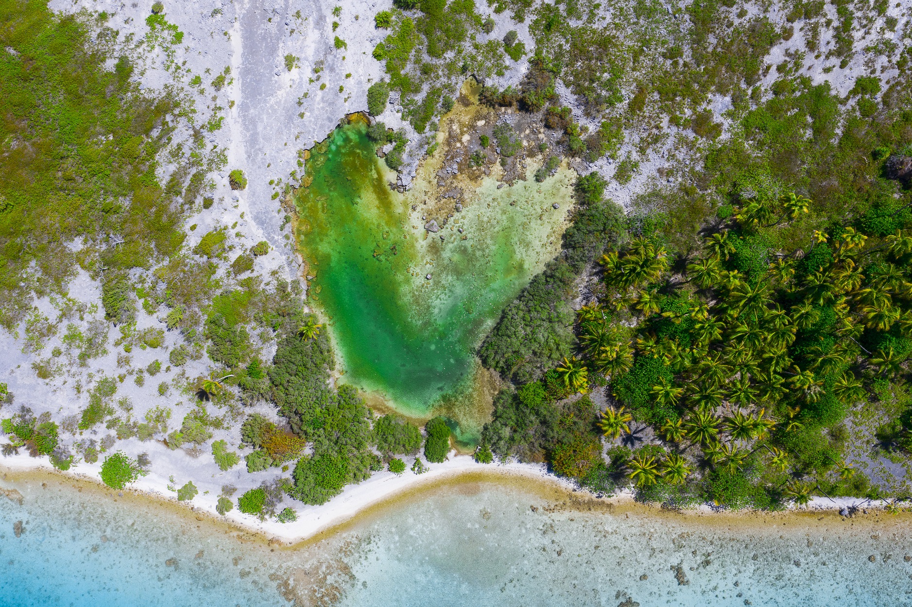 Tuamotu islands Cruise - Aranui